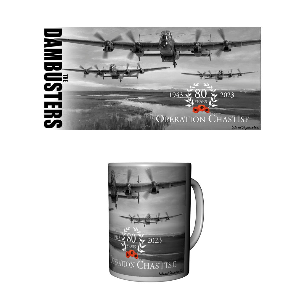 Dambusters 80th Anniversary Ceramic Mug – Labusch Skywear Inc.